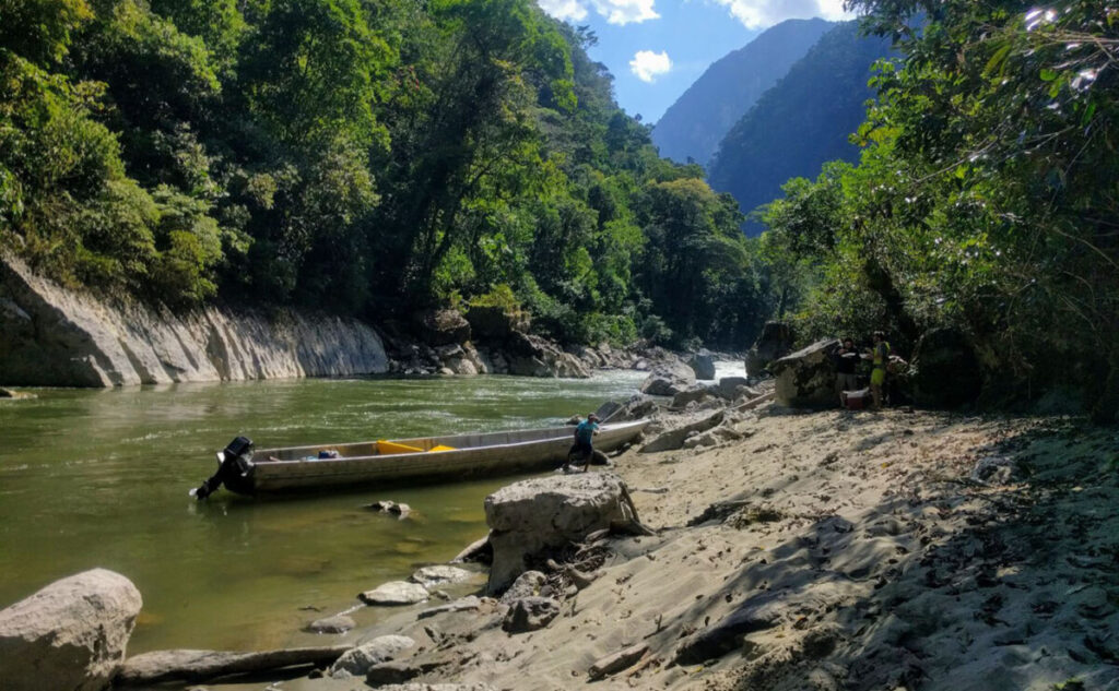 Parque Nacional Río Abiseo en peligro – Gato Encerrado